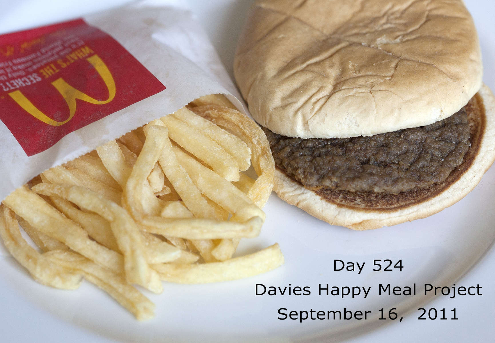 Happy Meal Project : Sally Davies Photo