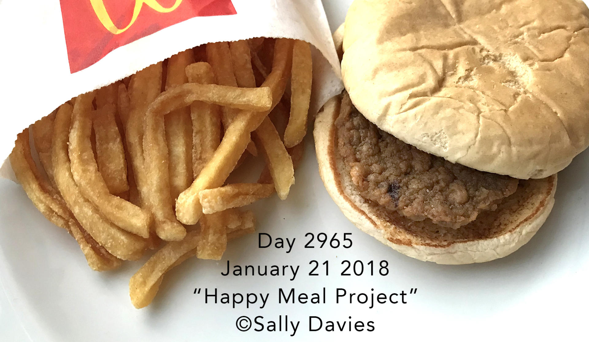 Happy Meal Project : Sally Davies Photo