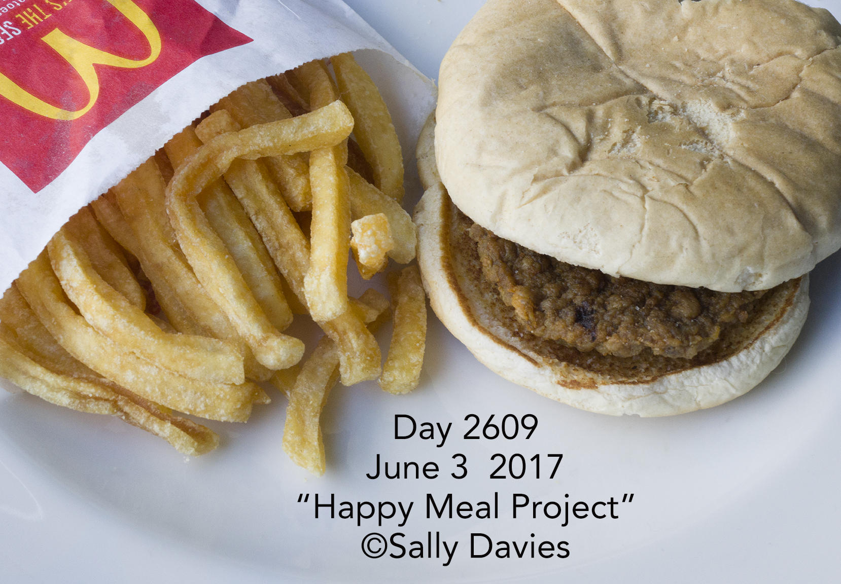 Happy Meal Project : Sally Davies Photo