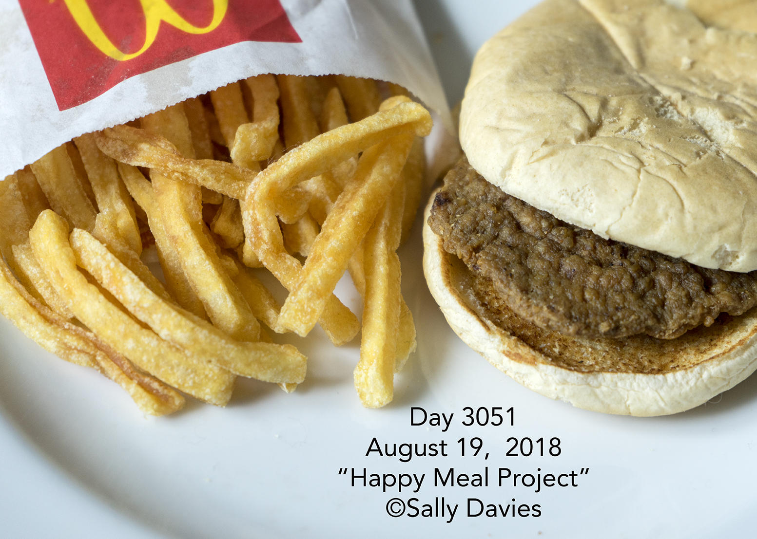 Happy Meal Project : Sally Davies Photo